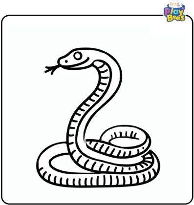 Snake Coloring Pages – Free Printable Sheets & Images