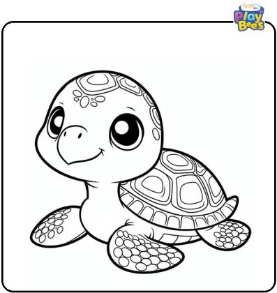 Turtle Coloring Pages – Free Printable Sheets & Pictures