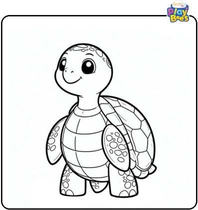 Turtle Coloring Pages – Free Printable Sheets & Pictures