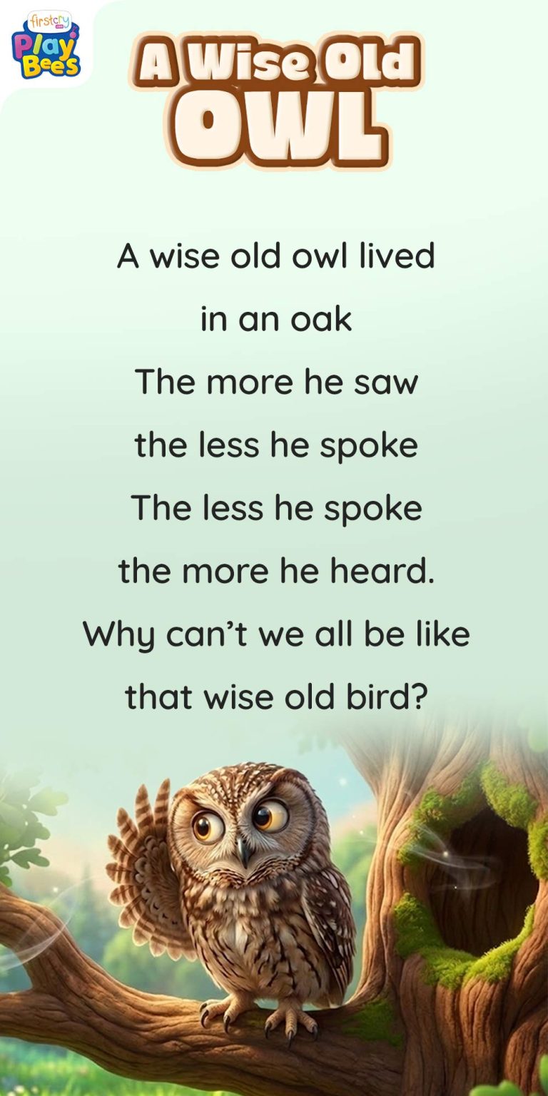 A Wise Old Owl Lyrics - Nursery Rhyme & Song