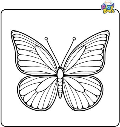 Insects Coloring Pages – Free Printable Sheets & Images