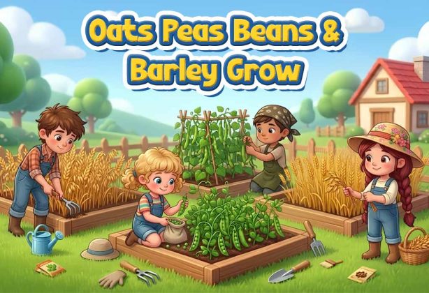 Oats Peas Beans and Barley Grow Lyrics - Nursery Rhyme & Song